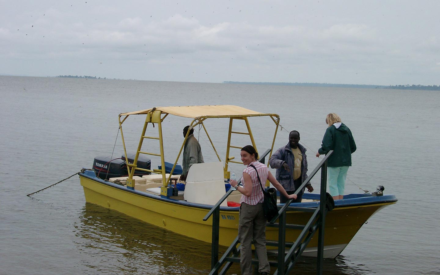 Birdwatching Guide: Explore Mabamba Swamp's Stunning Bird Species ...